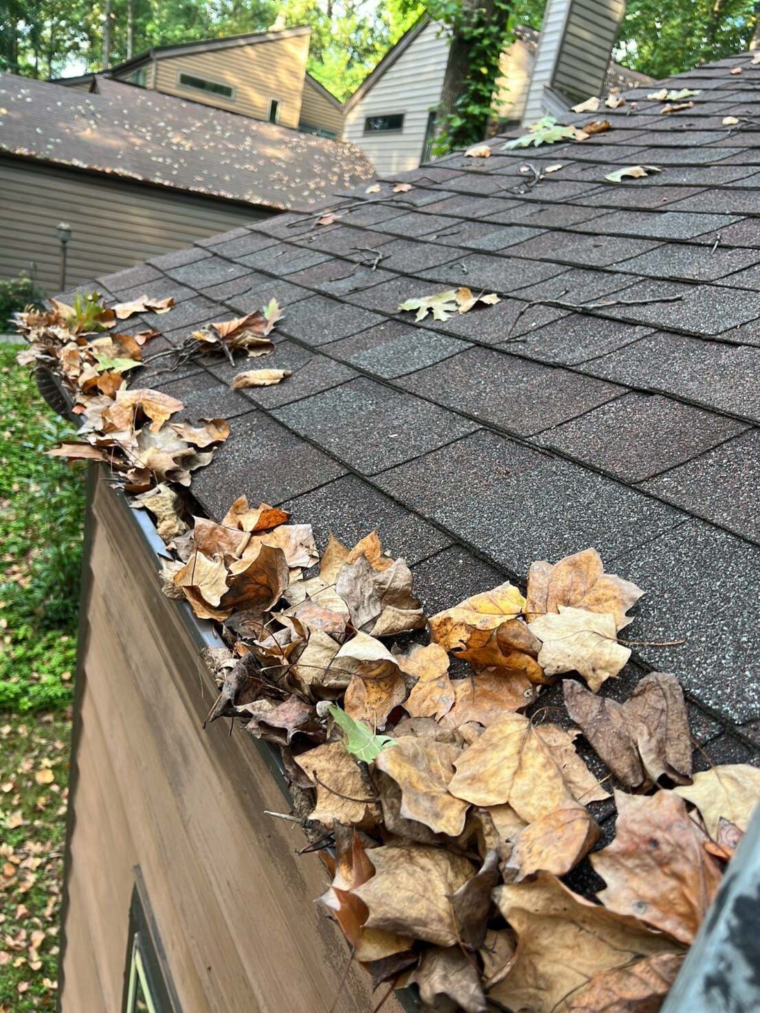 Fall Gutter Care | Protect Your Home From Damage